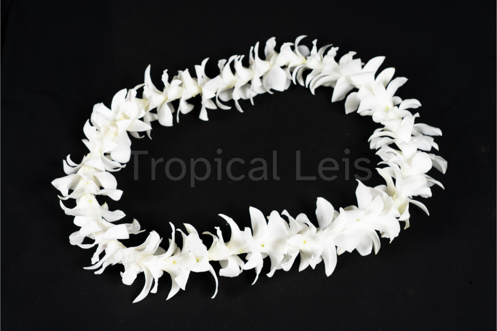 Tropical Leis